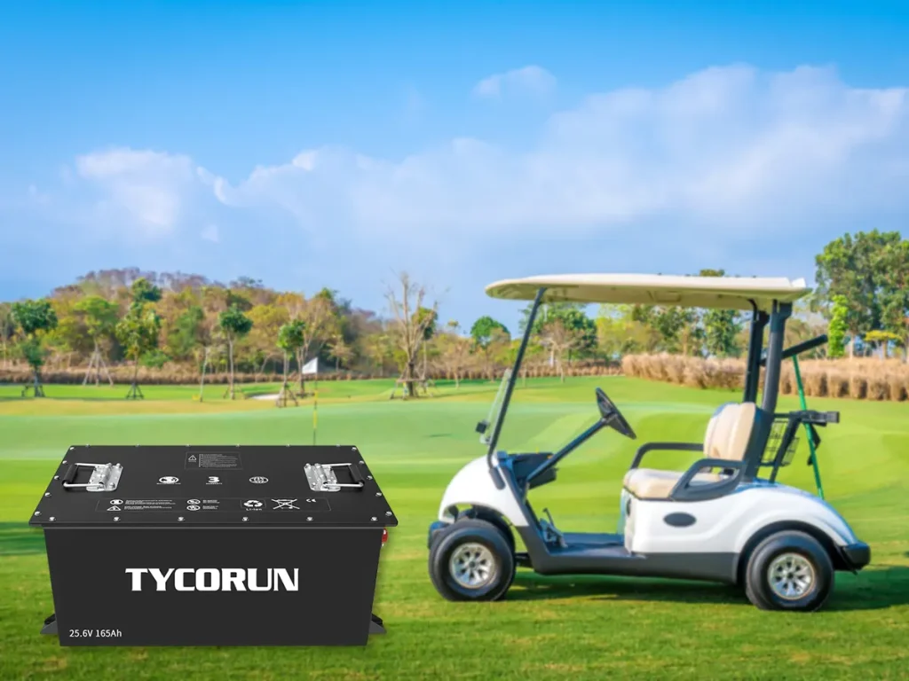 Custom Power Battery Solution, LiFePO4 Battery Packs & Assemblies