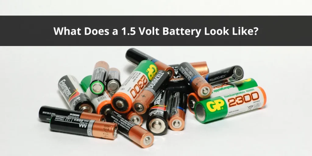 What Is A 1.5 Volt Battery? Complete Guide To Its Function, Size, And ...