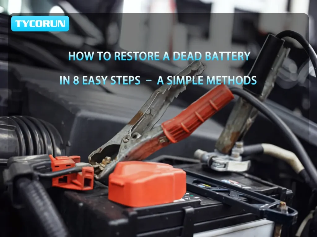 How To Restore A Dead Battery In 8 Easy Steps – A Simple Methods - TYCORUN Energy