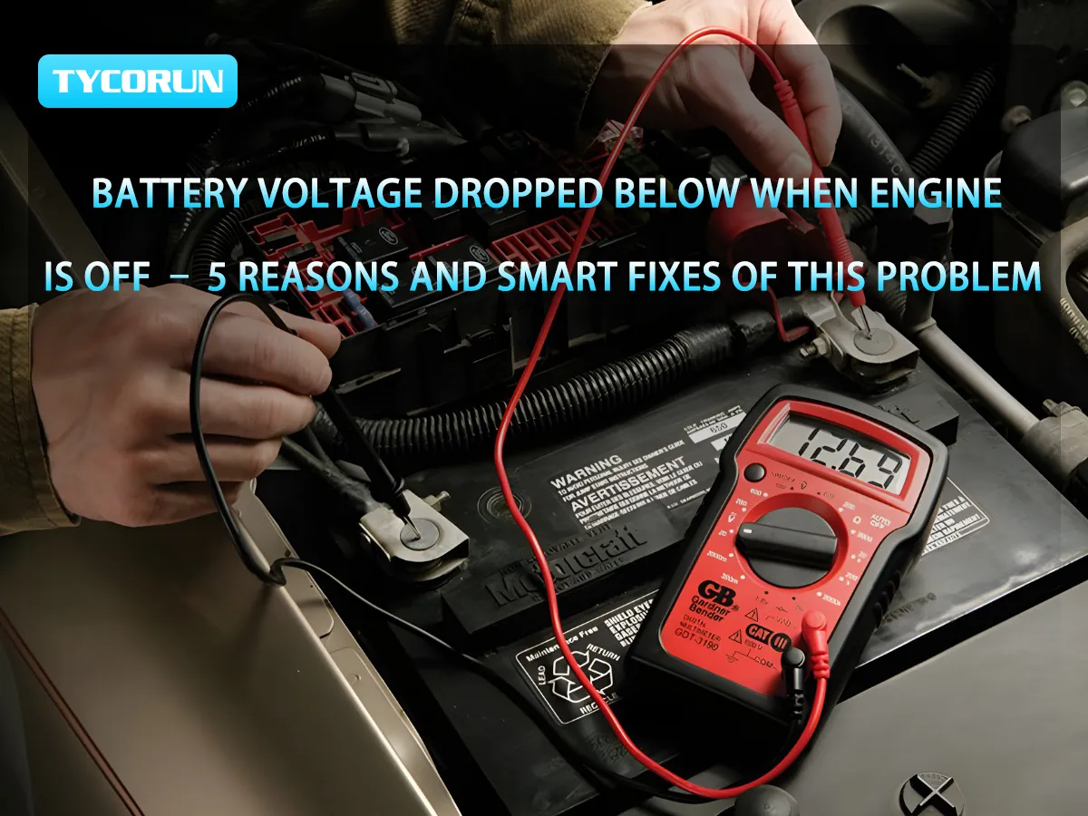 Battery Plate: 7 Powerful Facts You Must Know To Boost Performance - TYCORUN Energy
